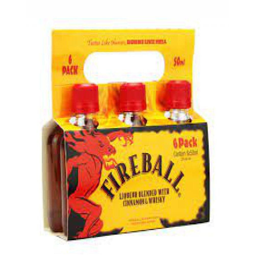 Kit Mini Whisky 50ml Fireball Canela 6 Unidades | Clube Extra